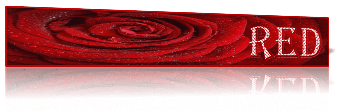 Choosing the Right Color for Your App – Blog – Shoutem