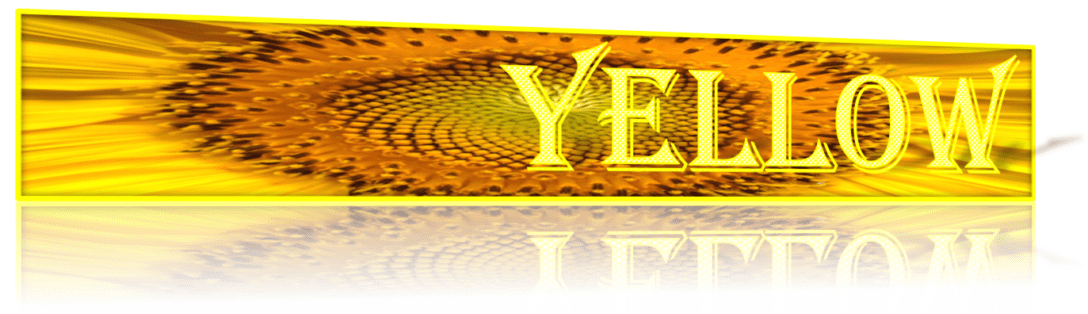 Choosing the Right Color for Your App – Blog – Shoutem