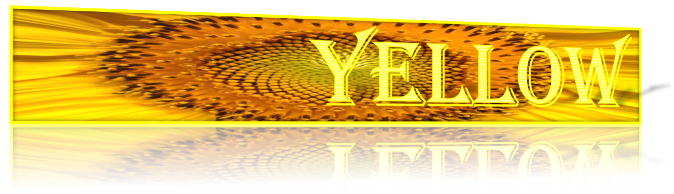 Choosing the Right Color for Your App – Blog – Shoutem